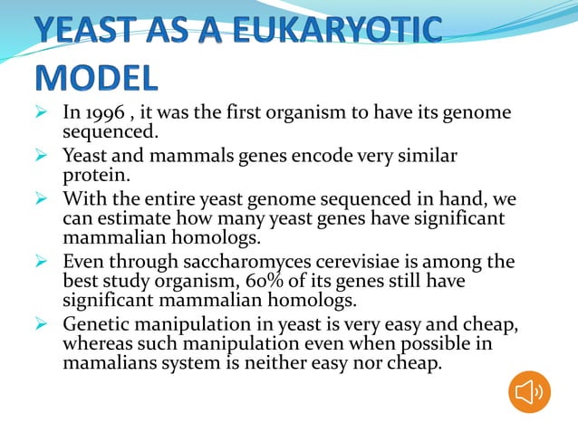 Genetic analysis of yeast | PPT | Biological Sciences | Science