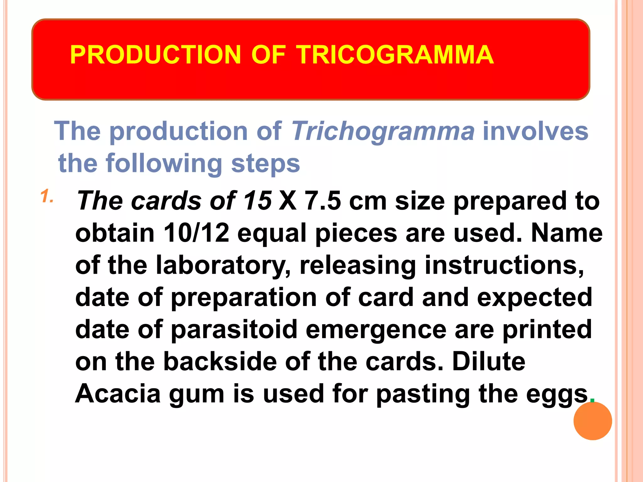 MASS MULTIPLICATION OF Corcyra cephalonia PPT | PPTX