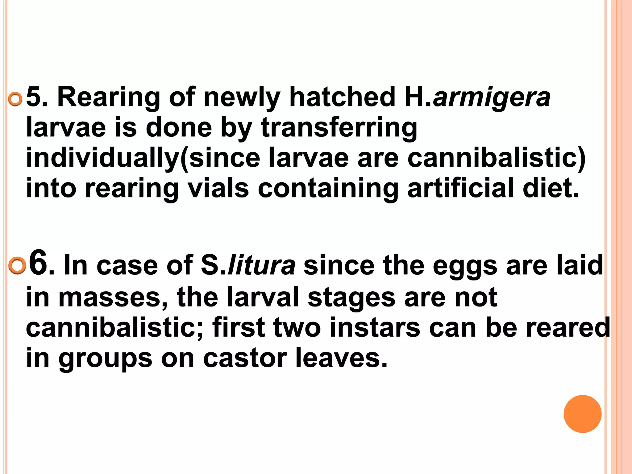MASS MULTIPLICATION OF Corcyra cephalonia PPT | PPTX