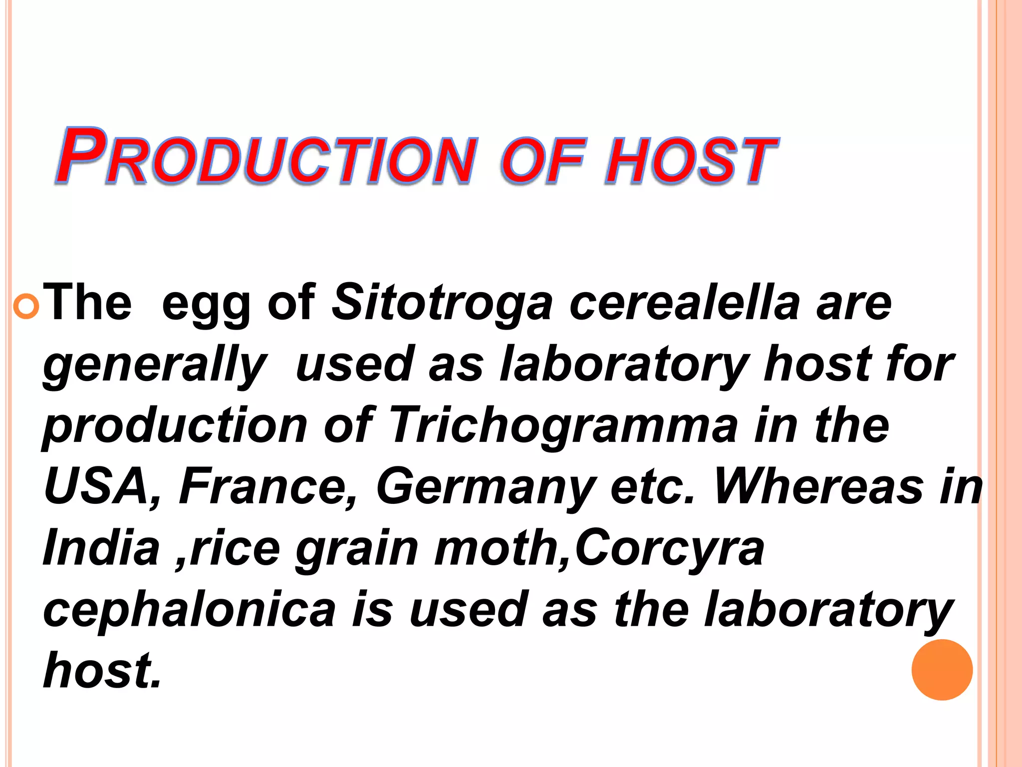 MASS MULTIPLICATION OF Corcyra cephalonia PPT | PPTX