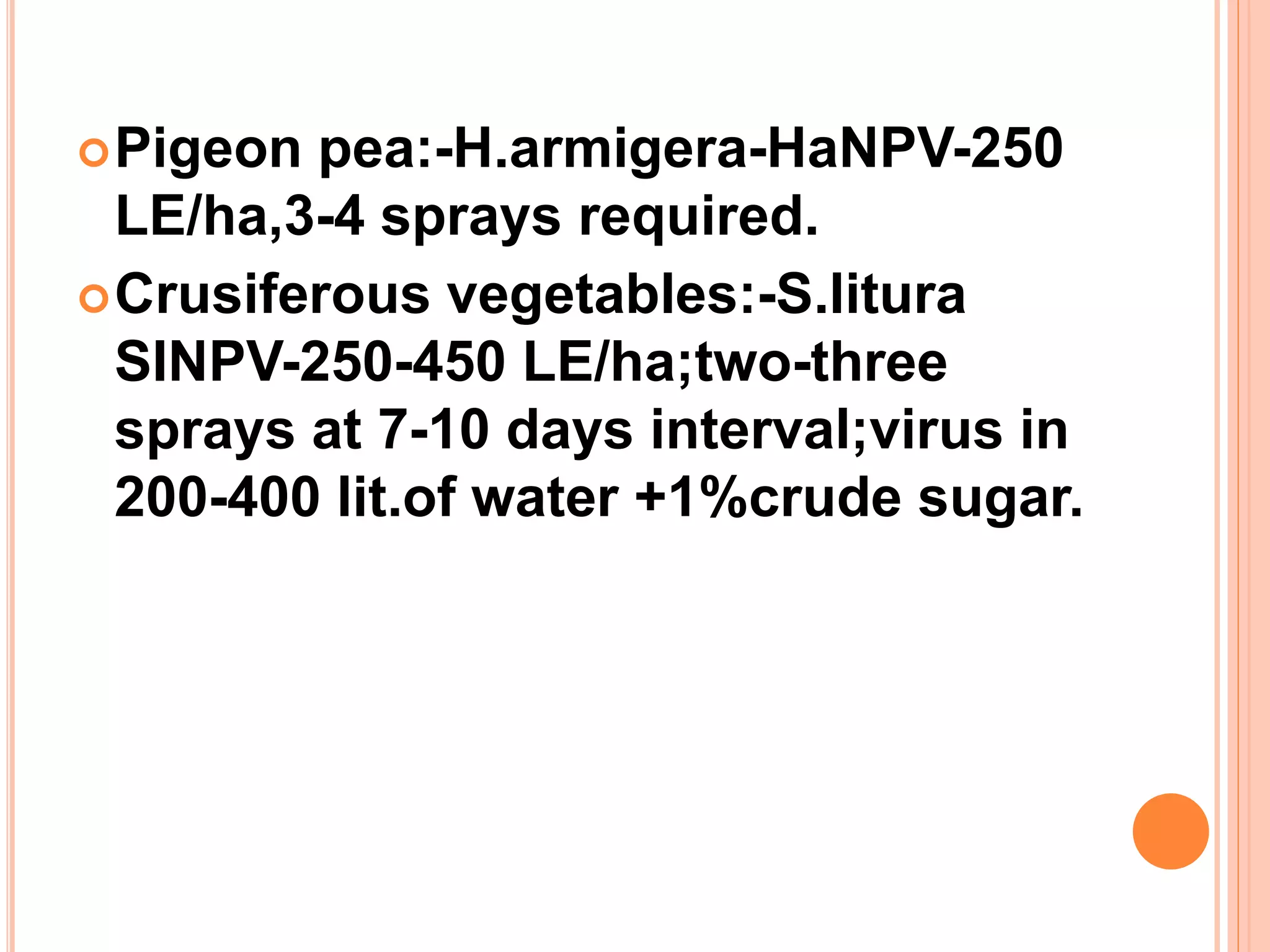 MASS MULTIPLICATION OF Corcyra cephalonia PPT | PPTX