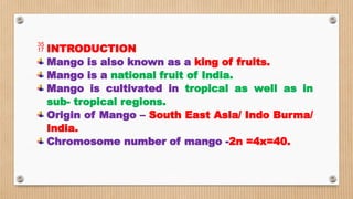 Breeding practices of mango and banana fruit | PPTX