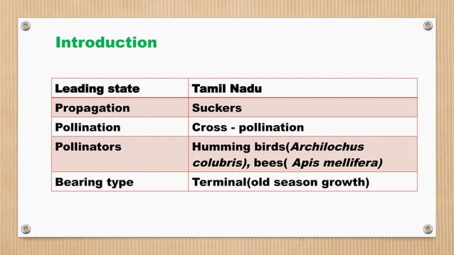 Breeding practices of mango and banana fruit | PPT