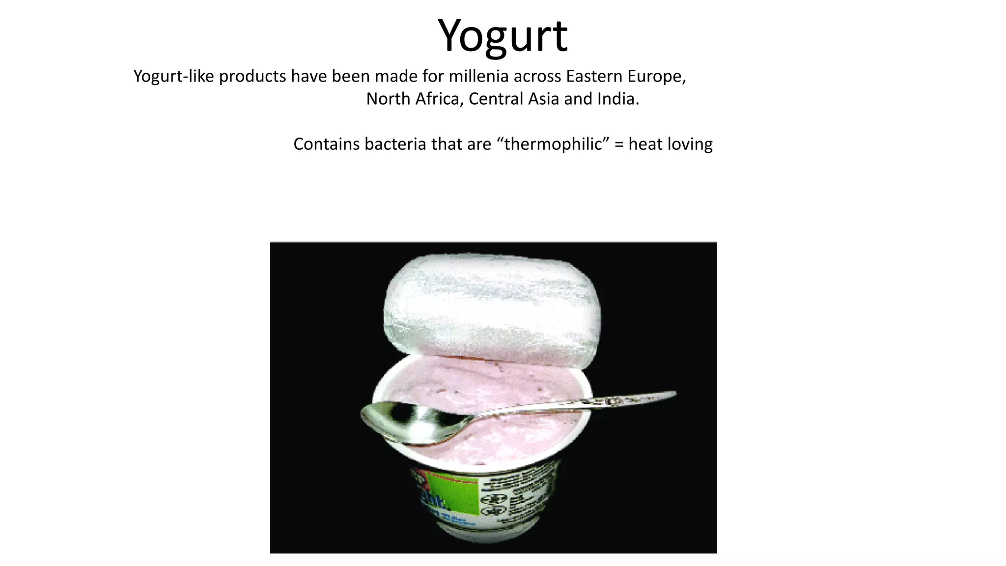 Yogurt | PDF