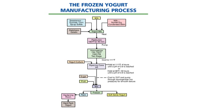 Yogurt | PDF | Chemistry | Science
