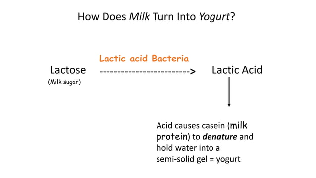 Yogurt | PDF | Chemistry | Science