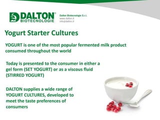 DALTON BIOTECNOLOGIE - Yogurt and Fermented Milk | PPTX | Cooking ...