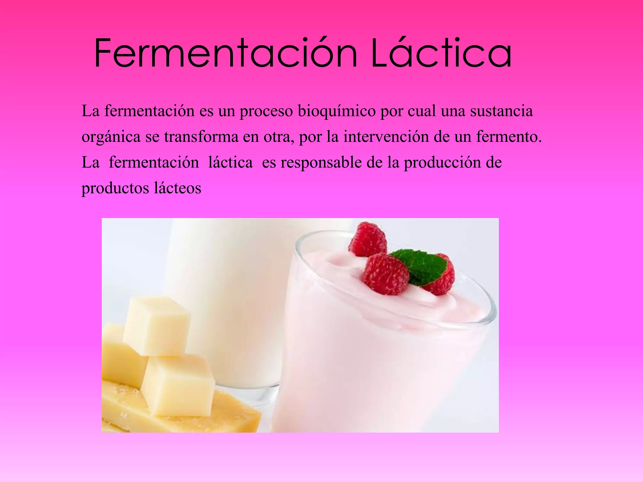 Yogurt producto de la fermentación láctica (Microbiologia) | PPT
