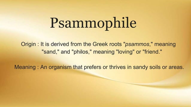 yoji Yojith.pptxyoji Yojith.pptxyoji Yojith.pptxyoji Yojith.pptxyoji ...