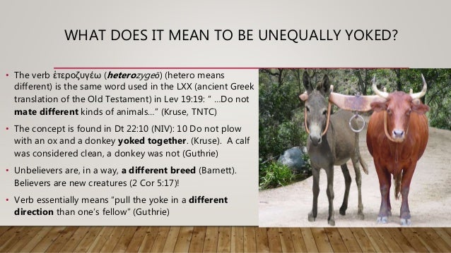 Yoked: Unequally vs. Easily | Bible Study 11.14.18