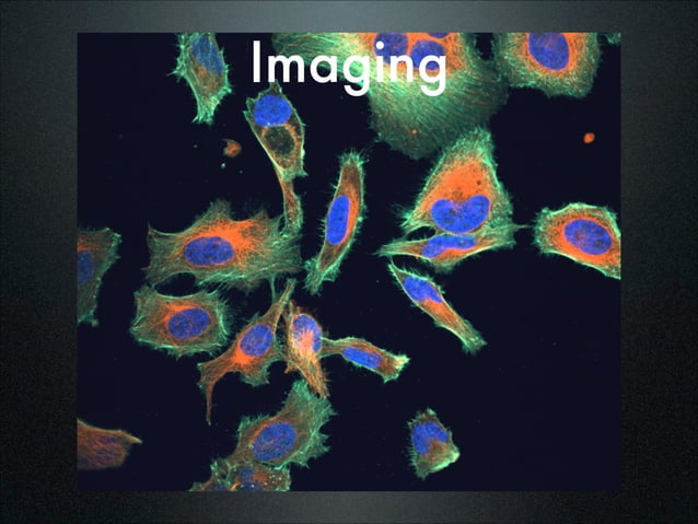 High Content Imaging with the Yokogawa CV7000 | PPT