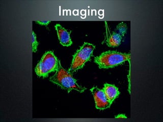 High Content Imaging with the Yokogawa CV7000 | PPT