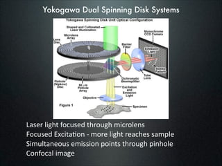 High Content Imaging with the Yokogawa CV7000 | PPT