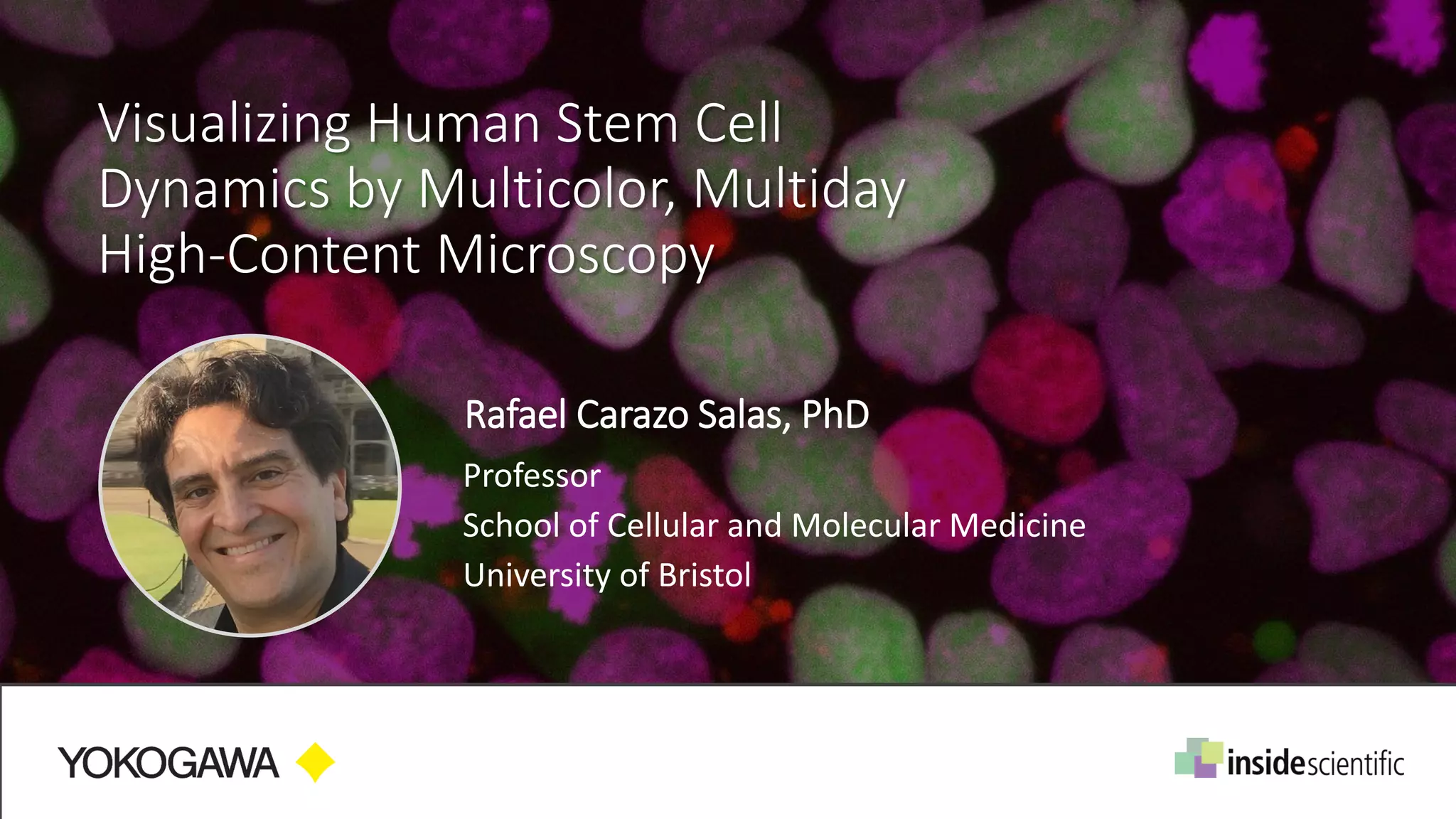 Visualizing Human Stem Cell Dynamics by Multicolor, Multiday High ...