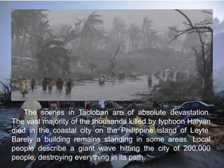The Scale of Destruction of Typhoon "Haiyan" in Central Visayas ...