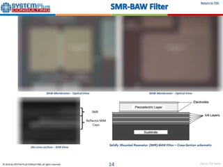 Qorvo TQF6405 High Band FEM SMR-BAW Filter iPhone 6s Plus 2016 teardown reverse costing report ...