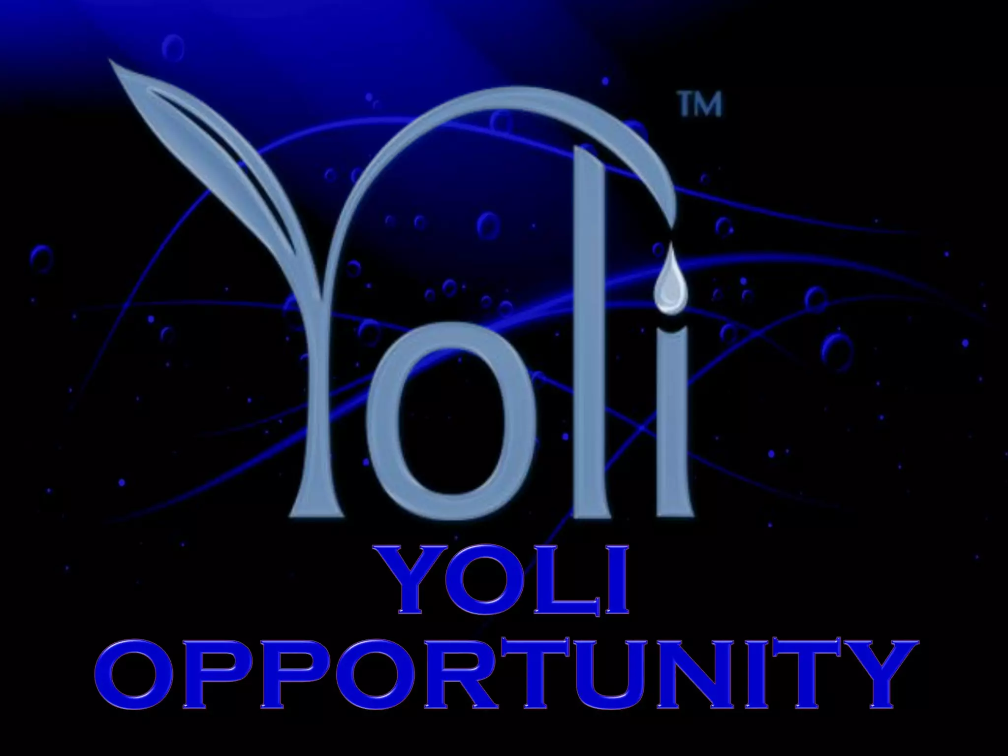 GO-YOLI OPPORTUNITY | PPT