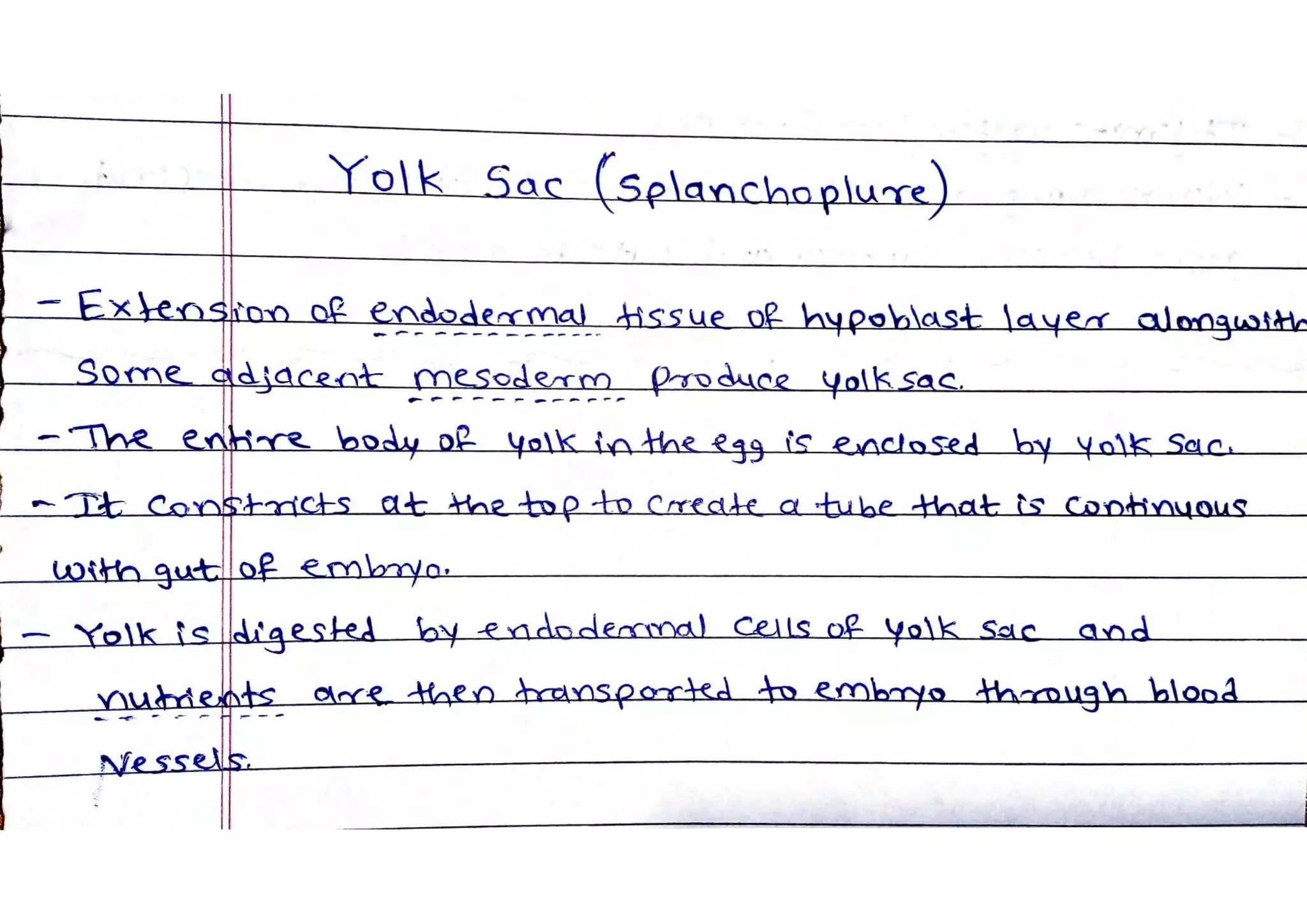 Yolk Sac (Splanchoplure) | PDF