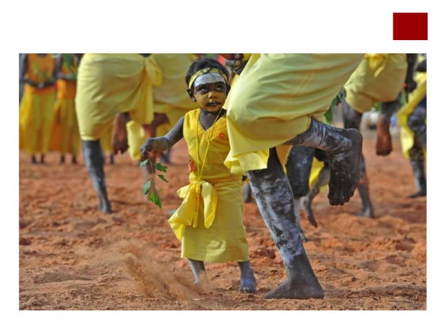 Yolngu Tourism Masterplan | PPT