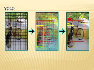 Yolo | PPTX
