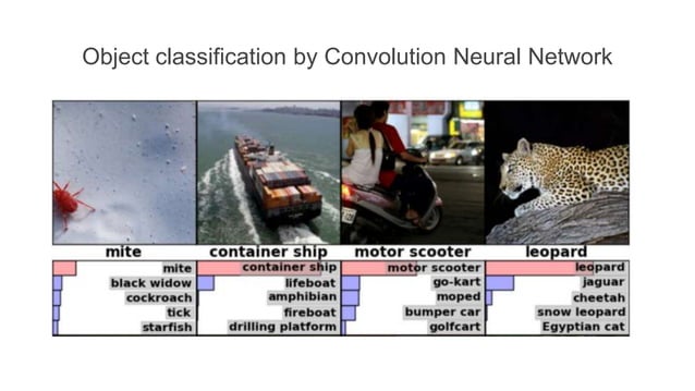 Yolo | PPTX | Artificial Intelligence | Technology & Computing