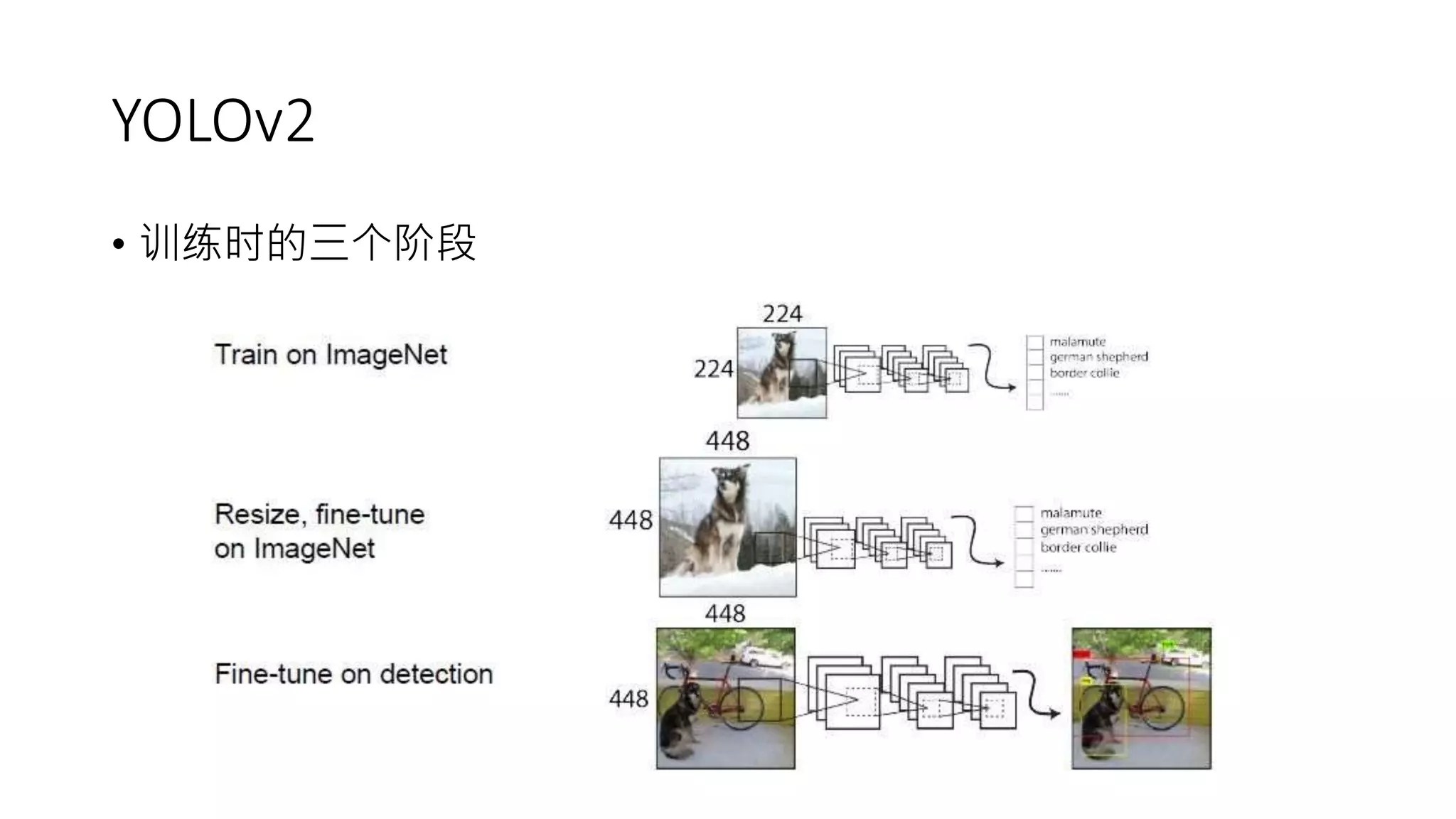 yolo introduction.pptx