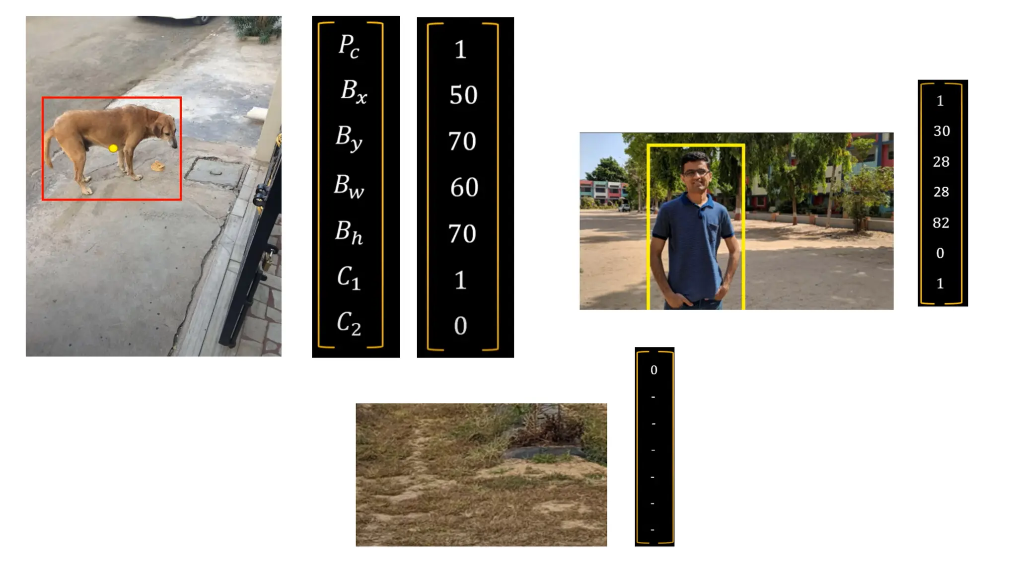 objection detection algorithm You Only Look Once | PPTX