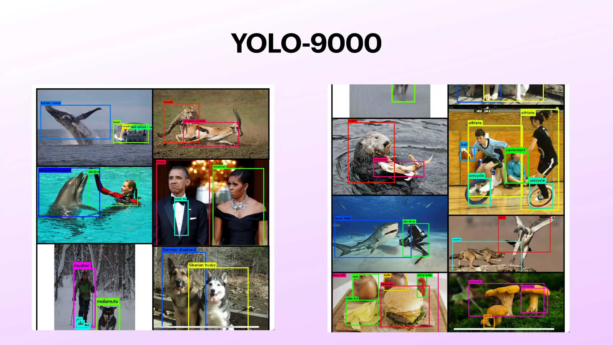 Yolo9000.pdf UFHUFHFUHFUDDFHVDSFHDHNDSHN | PDF
