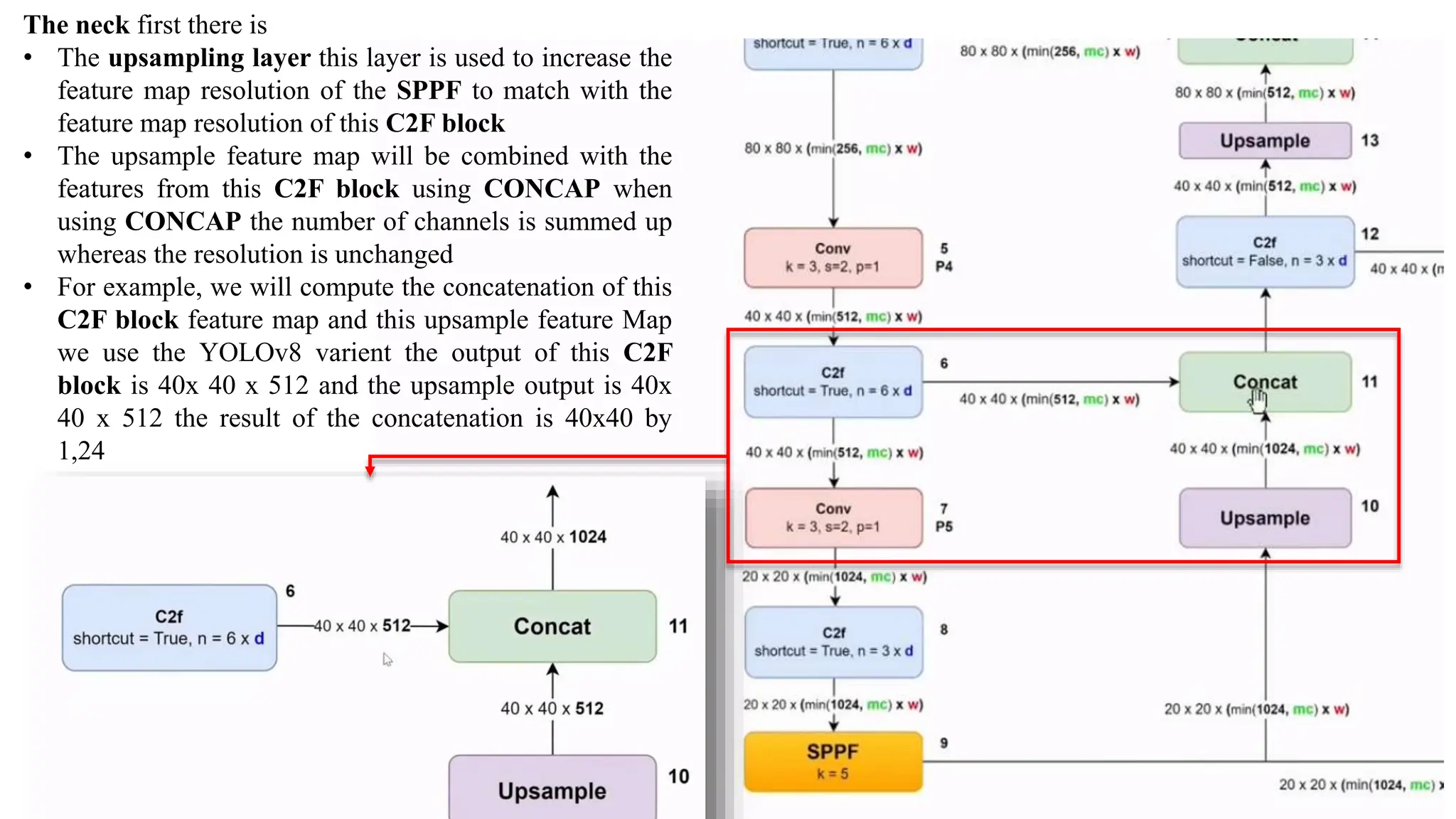 شرح تفصيلي لهندسة YOLOv8 - انهيار كامل.pptx