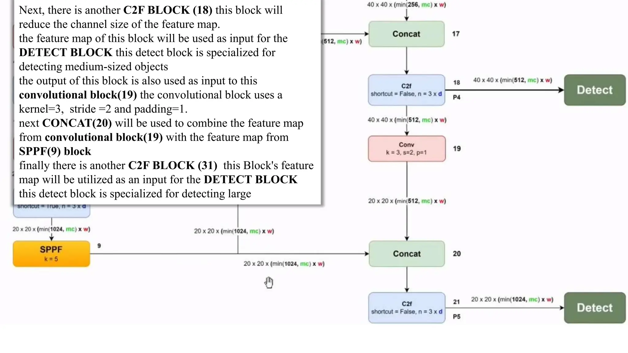 شرح تفصيلي لهندسة YOLOv8 - انهيار كامل.pptx