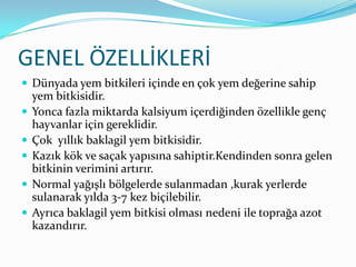 Yonca | PPTX