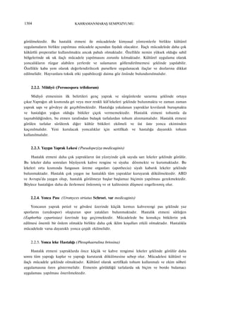 Yonca hastalıkları | PDF