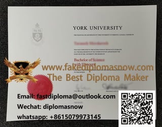 Buy a York University Bachelor Degree in 2025 | PDF