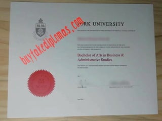 York University diploma | PPT