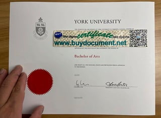 York University diploma | PDF | Email | Internet