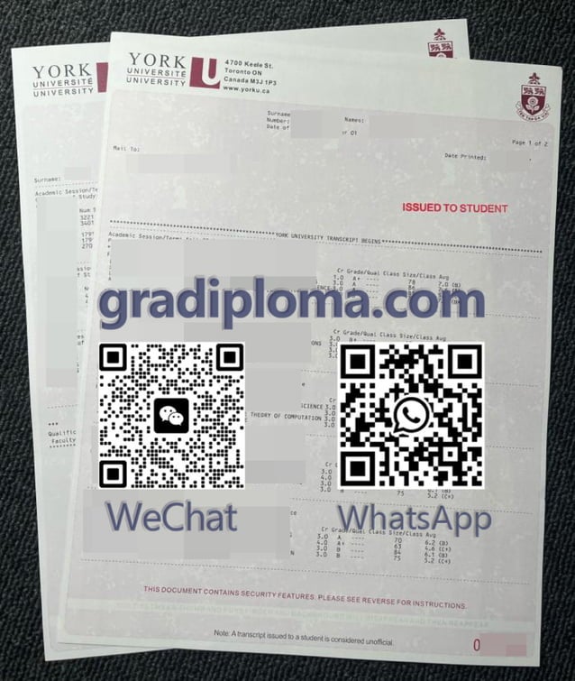 How to buy York University transcript with good marks? | PDF