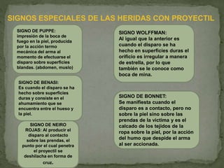 Yorlsis bravo | PPTX