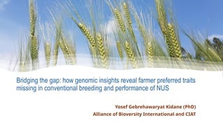Bridging the gap: how genomic insights reveal farmer preferred traits ...