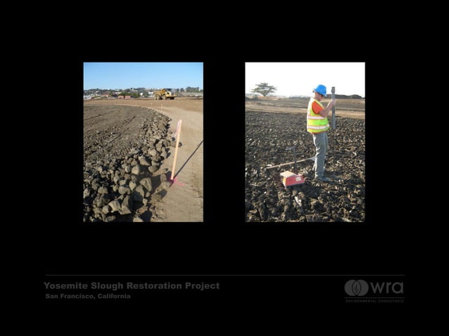 Yosemite Slough Tidal Restoration Sf | PPT | Geology | Science