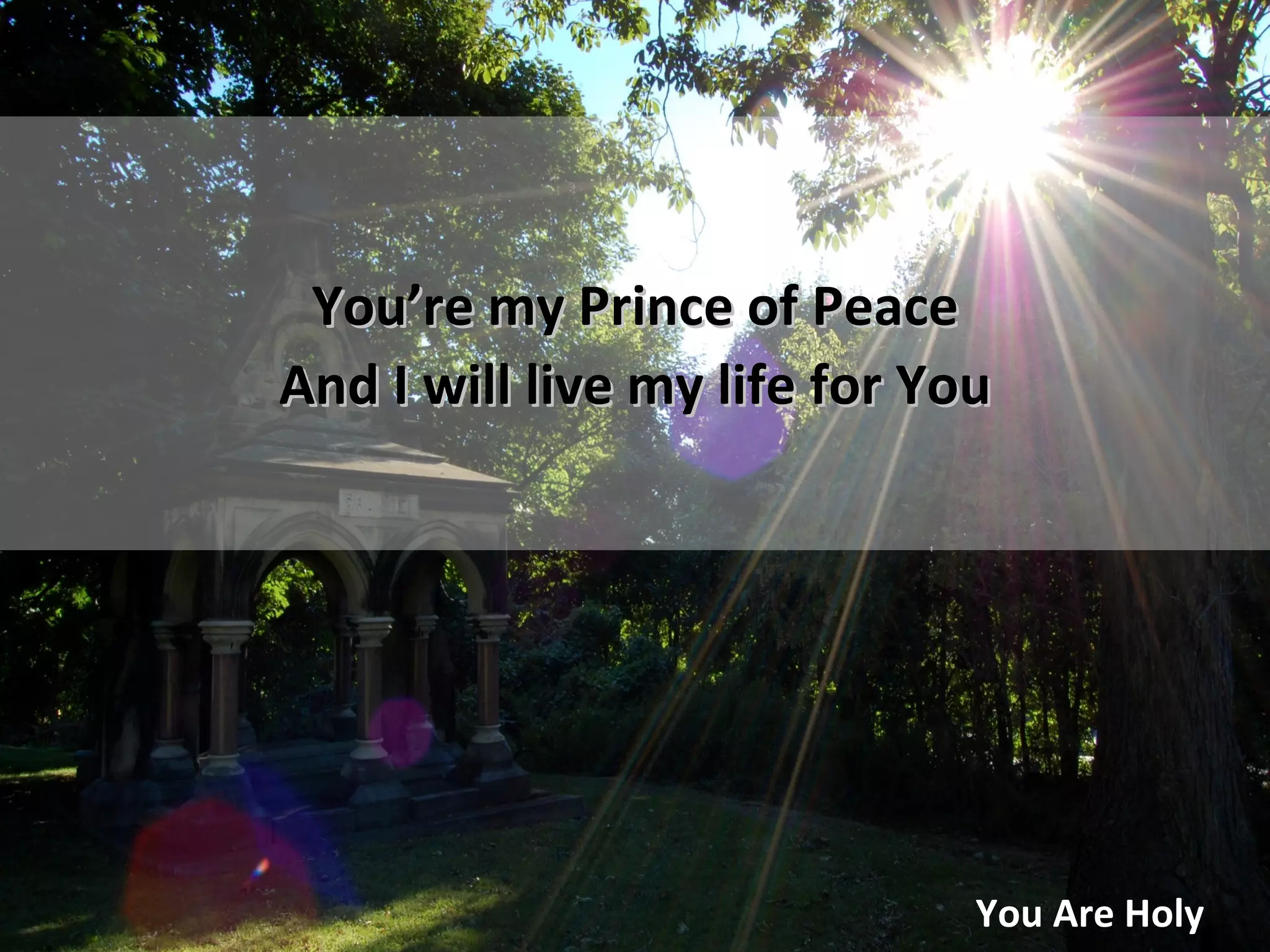 You Are Holy (Prince Of Peace) | PPT