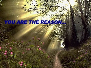 You Are The Reason | PPS