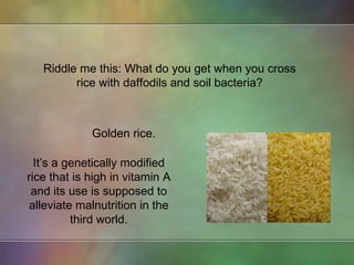 You Are What You Eat | PPT | Agriculture | Industries