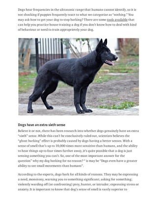How Far Can You Hear A Dog Bark