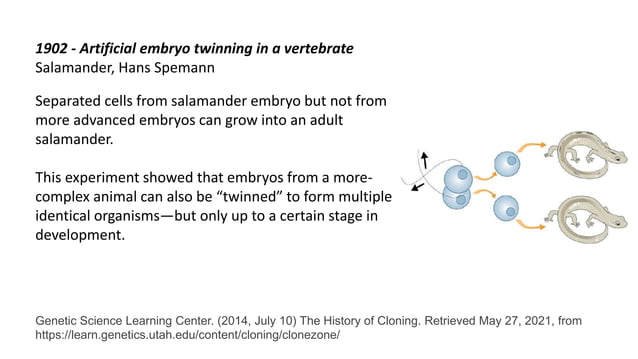 Cloning in mammals: Dolly the sheep | PPTX