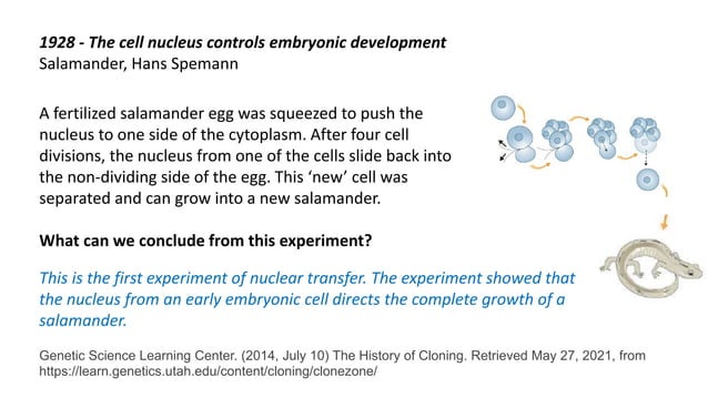 Cloning in mammals: Dolly the sheep | PPTX