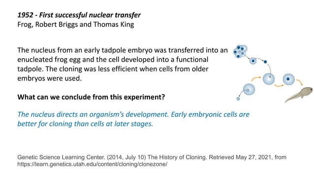 Cloning in mammals: Dolly the sheep | PPTX