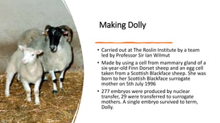 Cloning in mammals: Dolly the sheep | PPTX