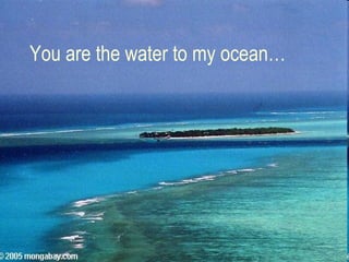 You are the butter to my bread… | PPT