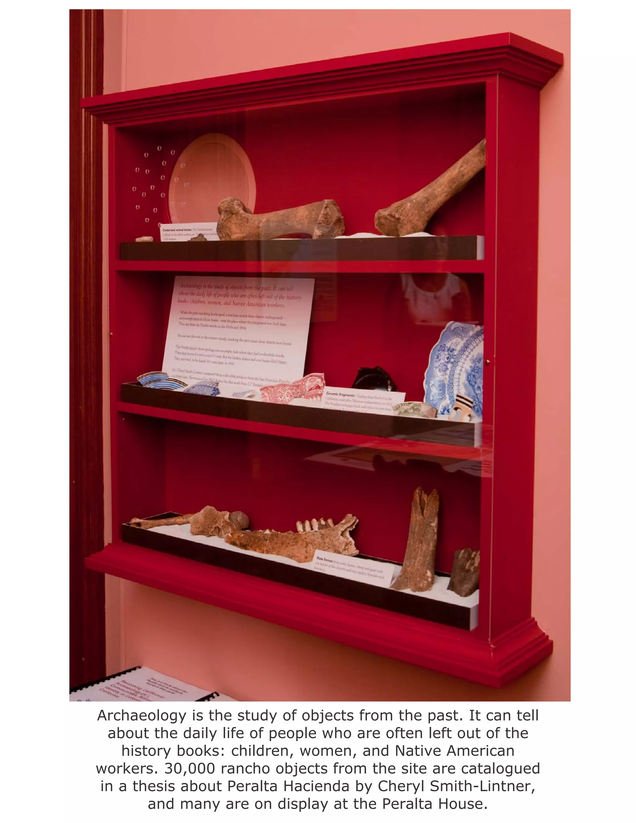 You Can Dig It (Archaeology) | PDF