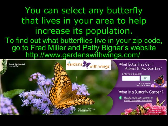 Monarch Conservation-Increase Population | PPT